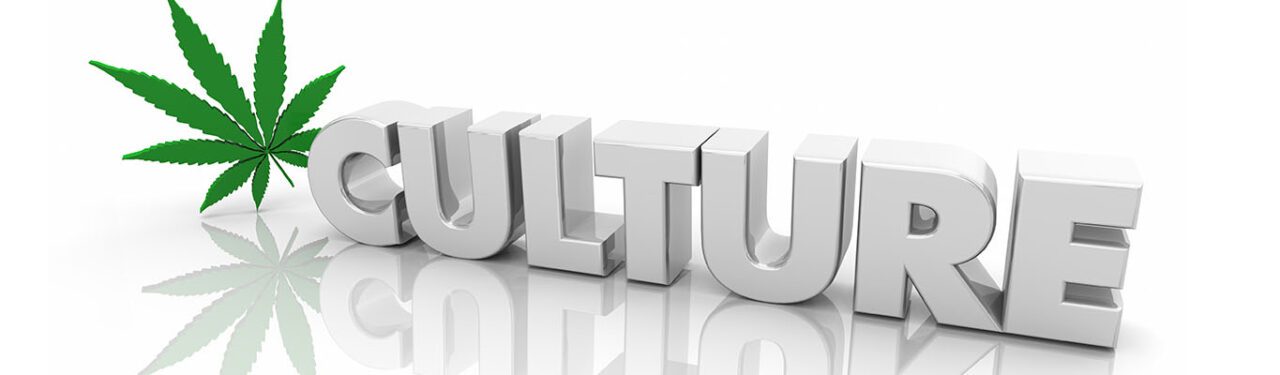 What Is Cannabis? Everything You Need to Know About the Plant, the ...